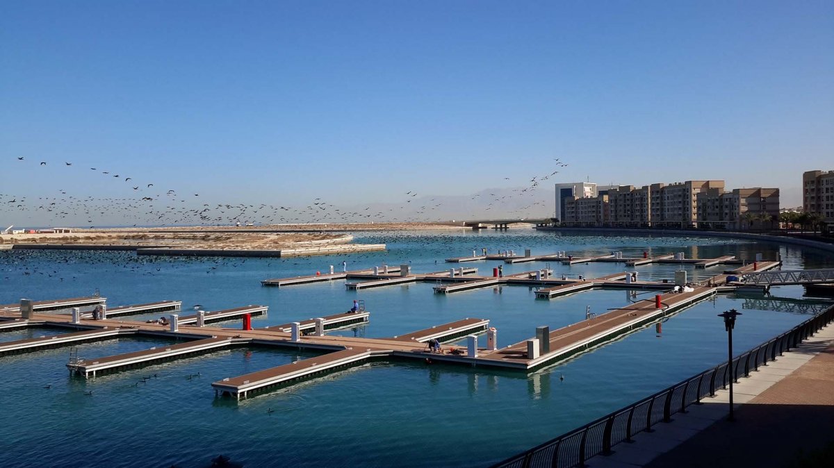 Al Riffa: lifestyle, property, infrastructure & attractions | Emirates ...