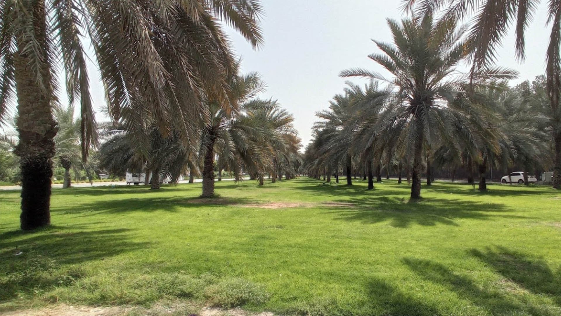 Sharjah Airport Freezone (SAIF): lifestyle, property, infrastructure ...